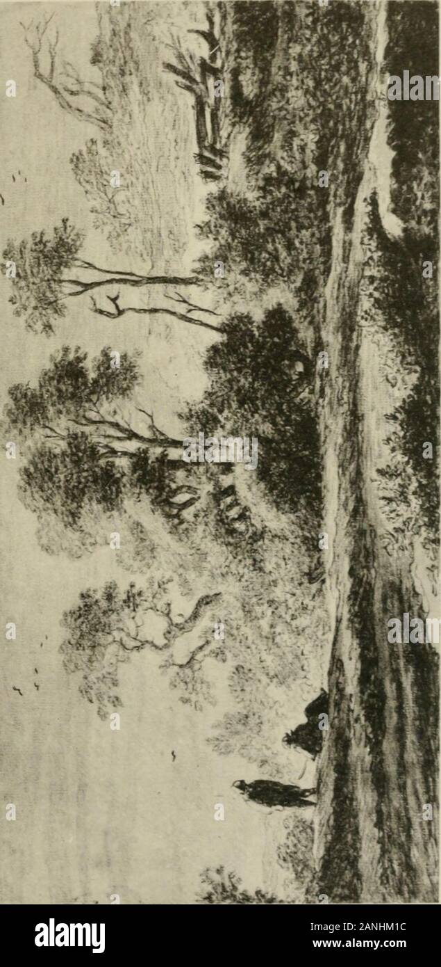 A selection of drawings by old masters in the Museum collections . r- D ...