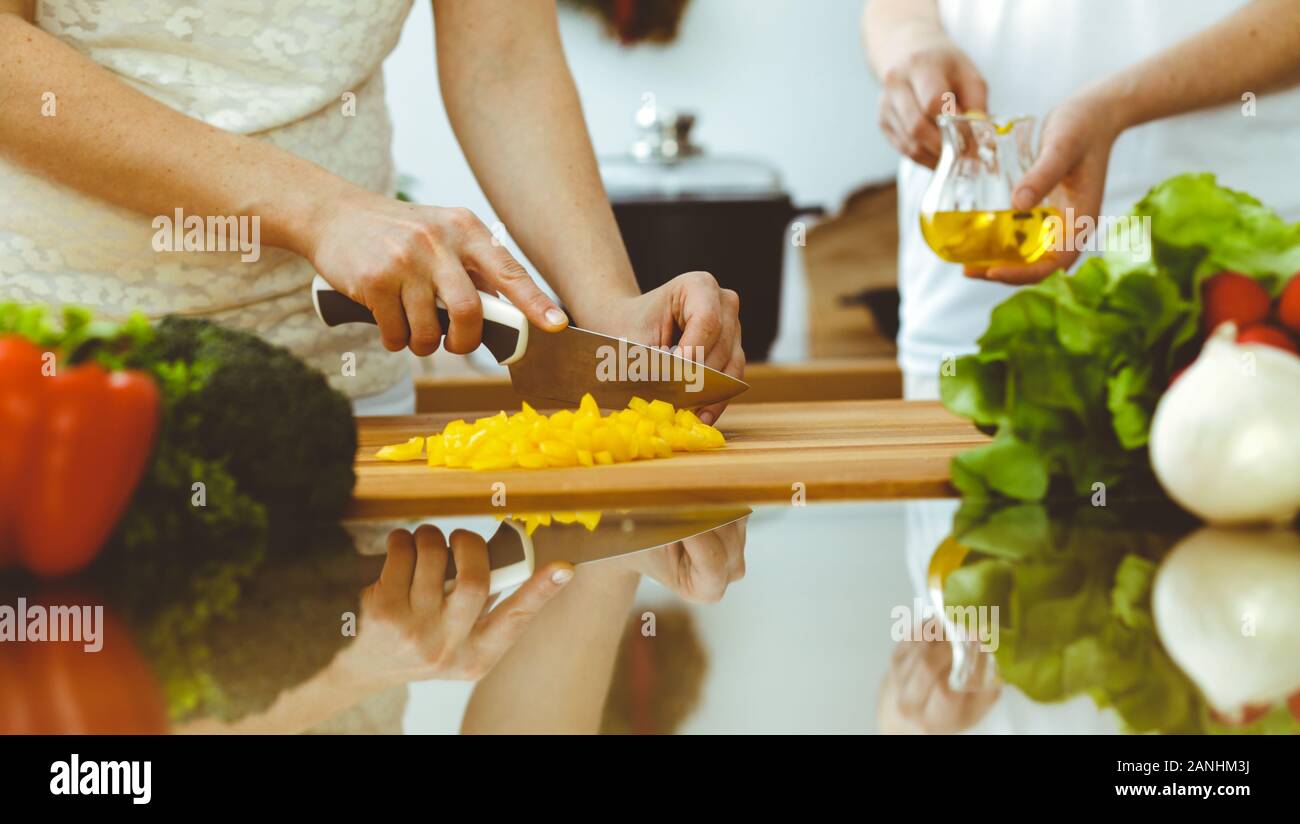 Closeup of human hands cooking in kitchen. Mother and daughter or two ...