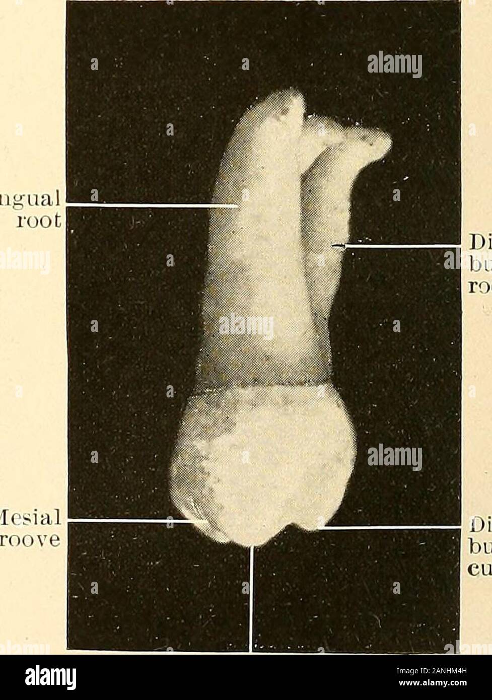 Surfaci hi-res stock photography and images - Alamy