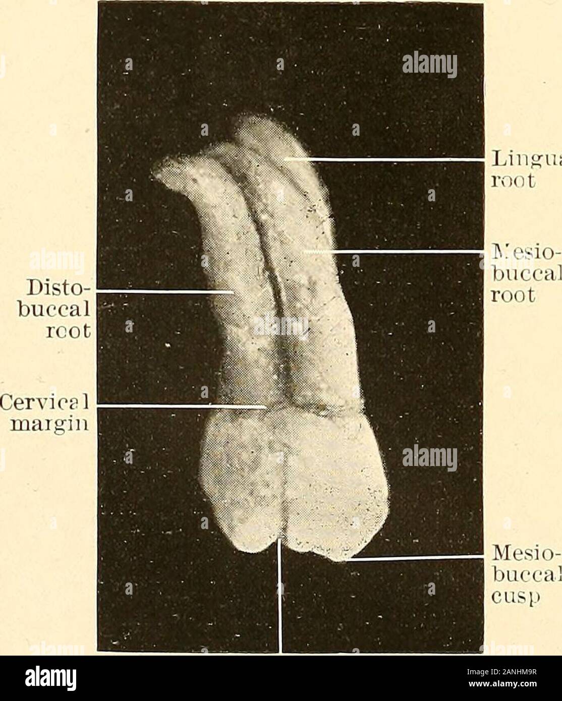 Disto hi-res stock photography and images - Alamy