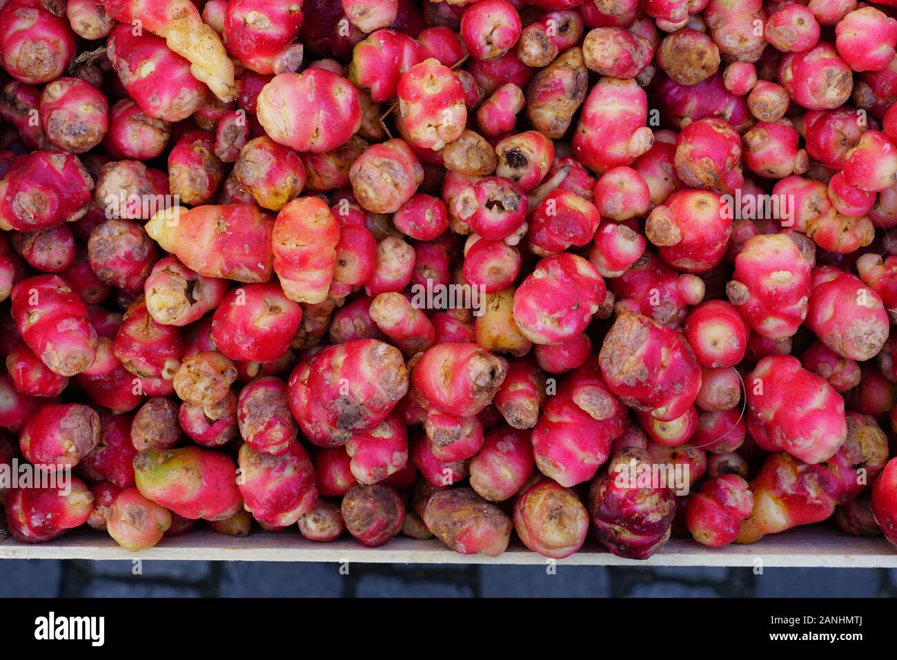 Colorful red and yellow roots of oca tuber from Peru (Oxalis tuberosa ...