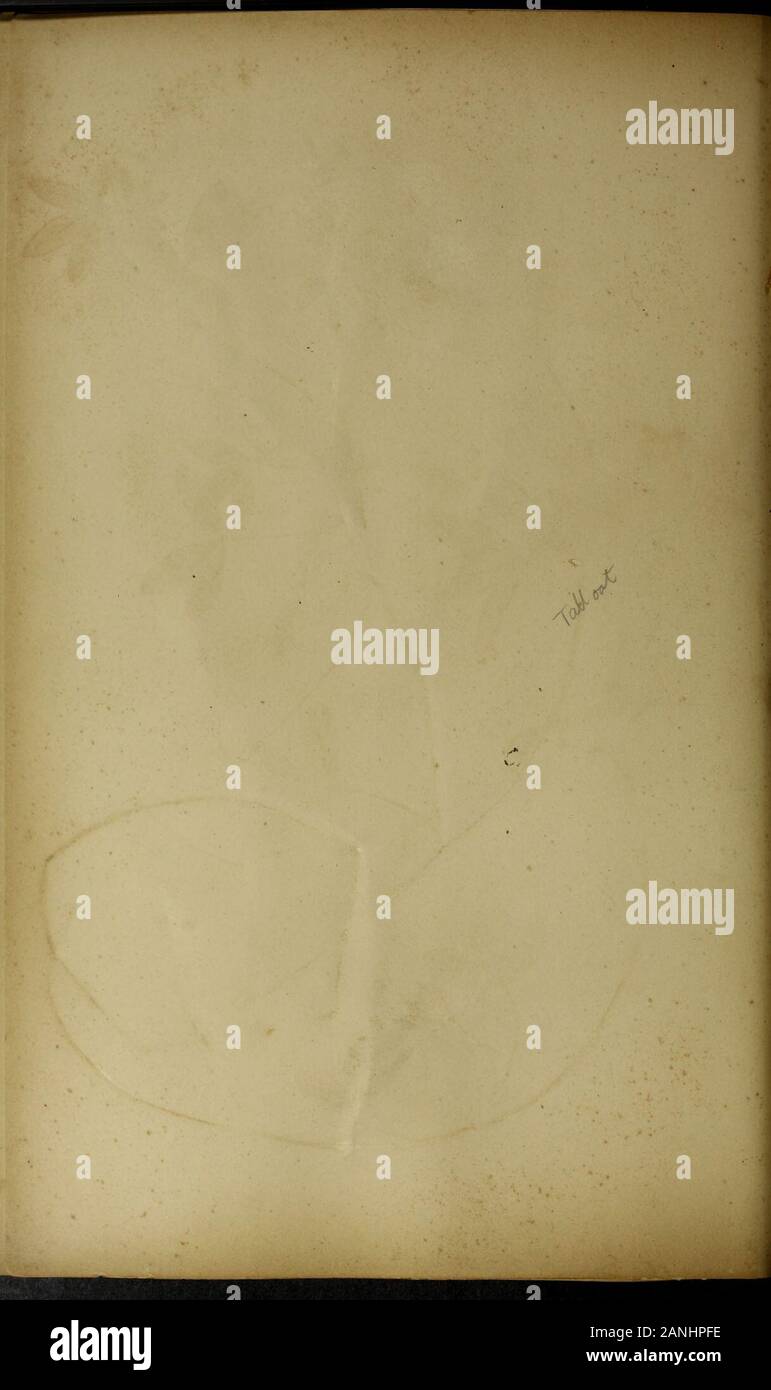 The British farmer's plant portfolio : specimens of the principal ...