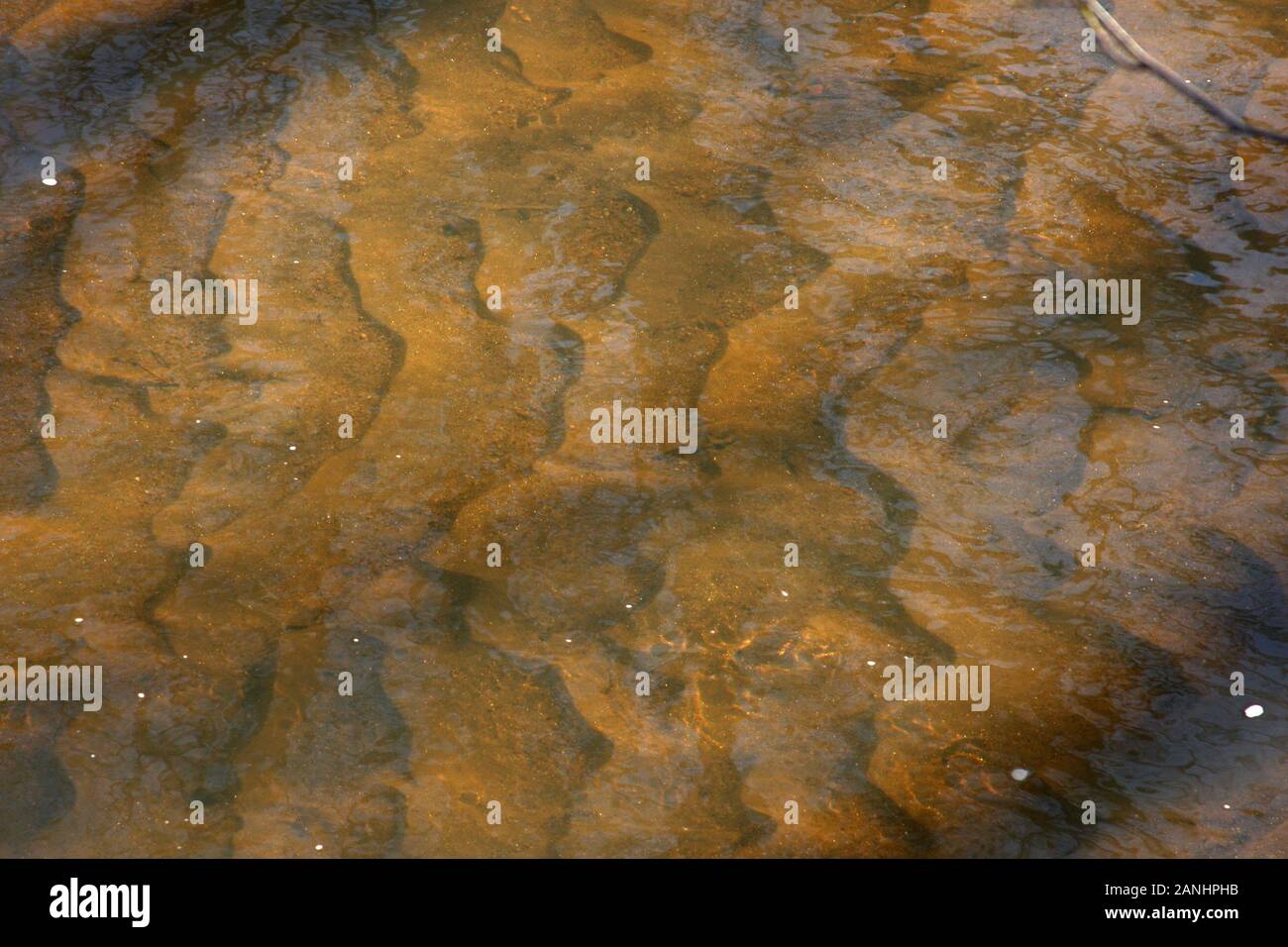 Sand seen under the water, on lake's shore Stock Photo - Alamy