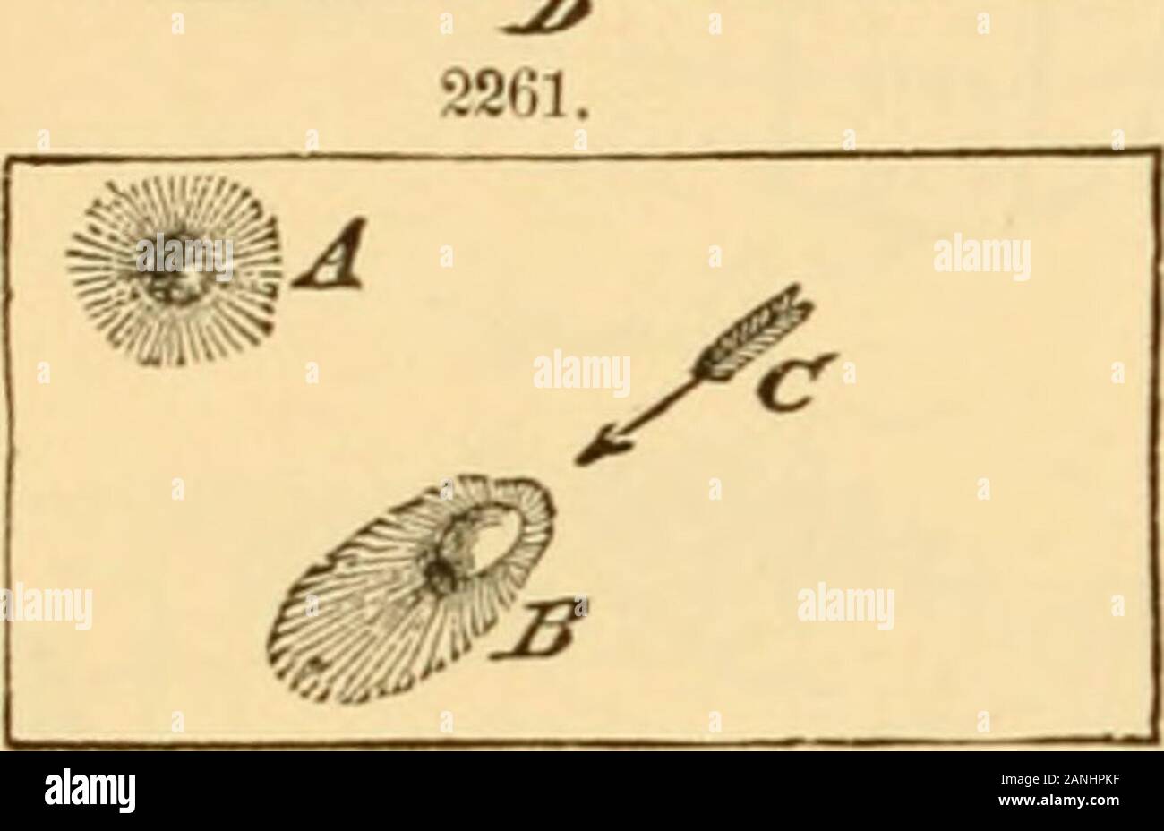 Hammer marks hi-res stock photography and images - Alamy
