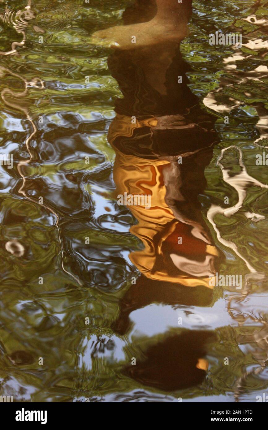 Upside down view of a person standing in a creek waters Stock Photo - Alamy
