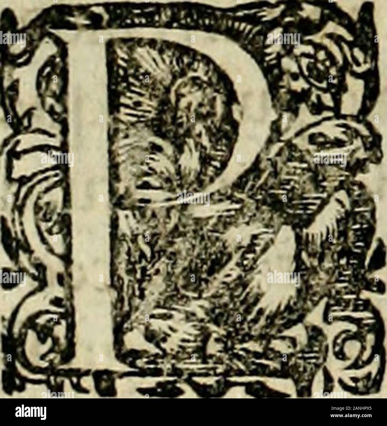 Nobiles hi-res stock photography and images - Alamy