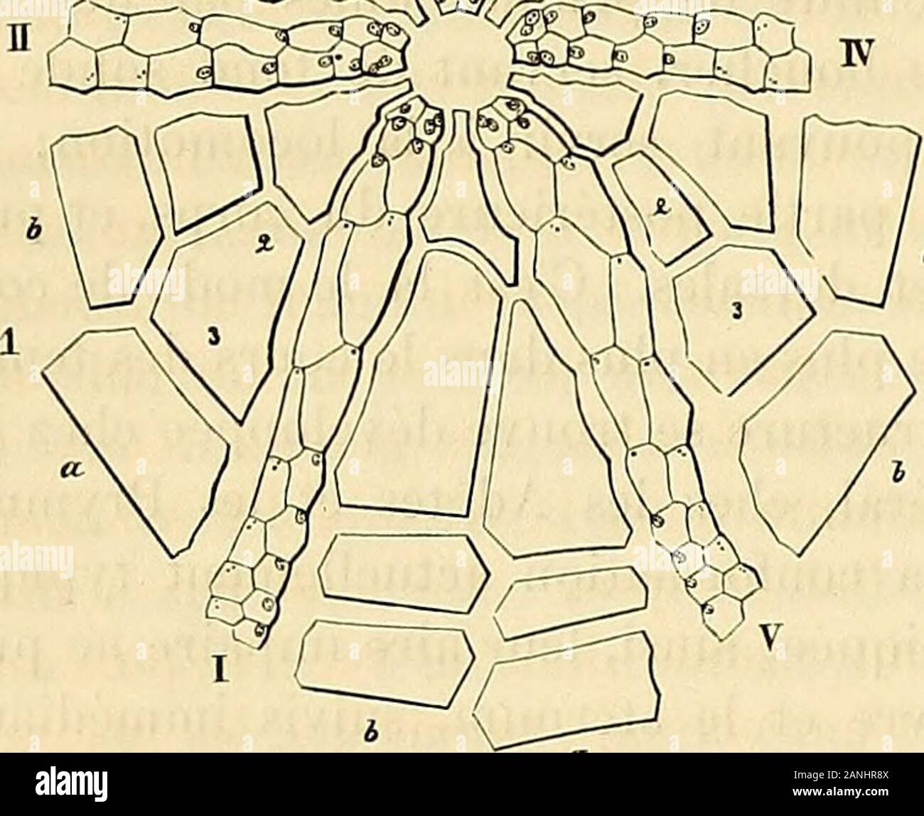 Bien que rectangulaire hi-res stock photography and images - Alamy