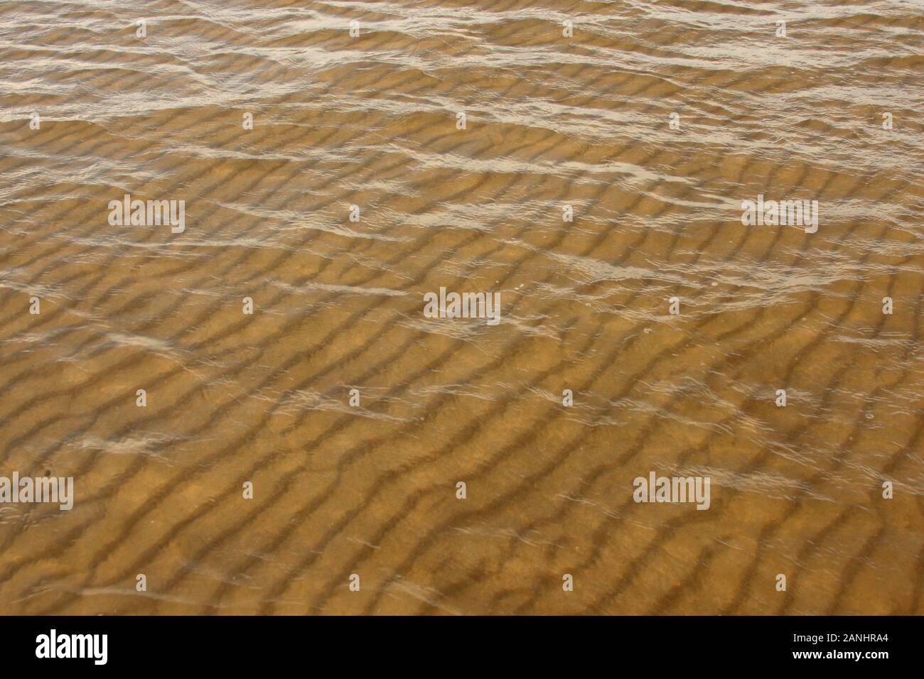 Low tide calm ocean water by the shore. Virginia Beach, USA Stock Photo ...