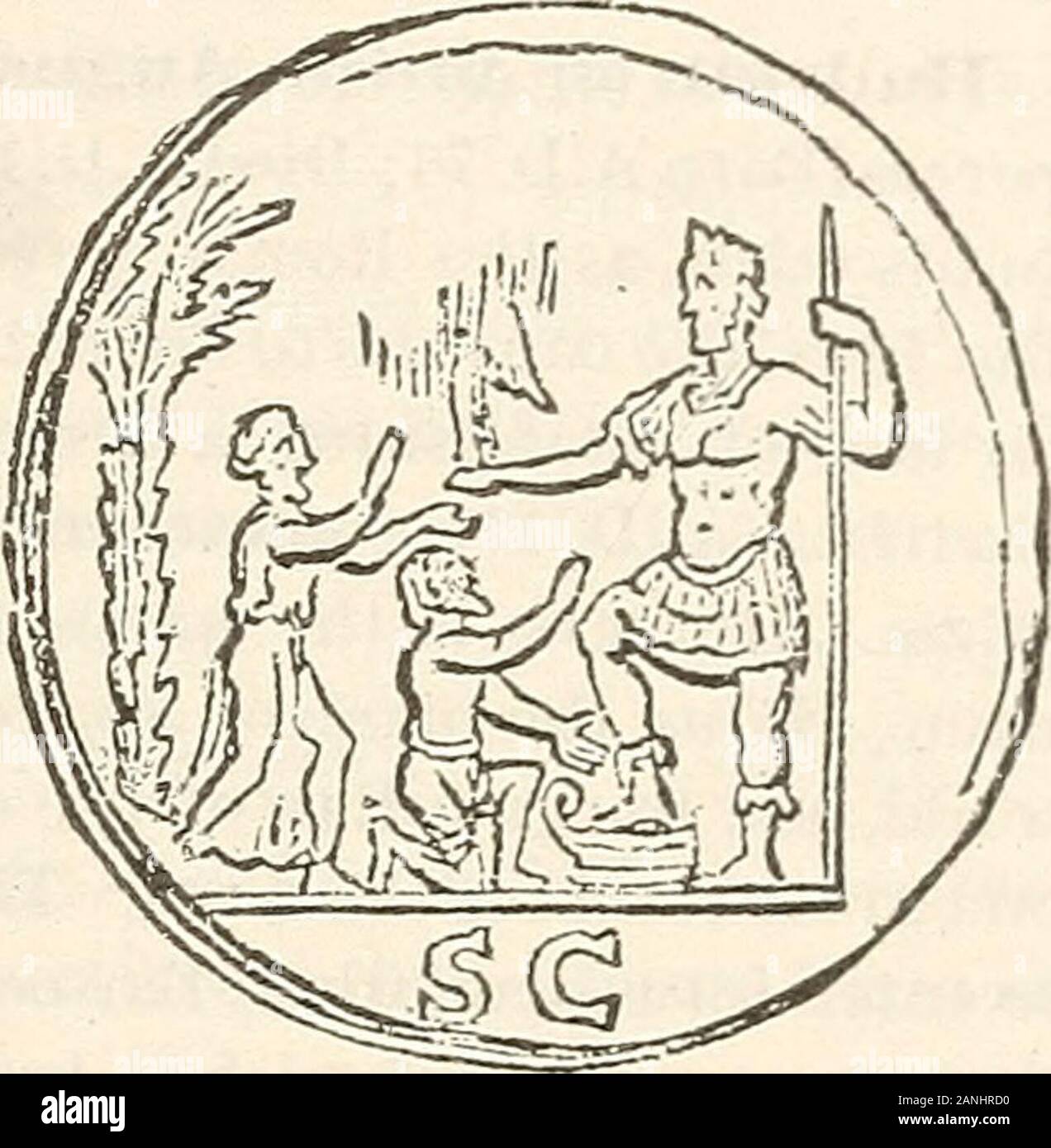 Senatus populus hi-res stock photography and images - Alamy