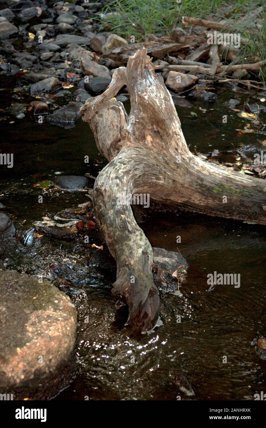 Dead stream hi-res stock photography and images - Alamy