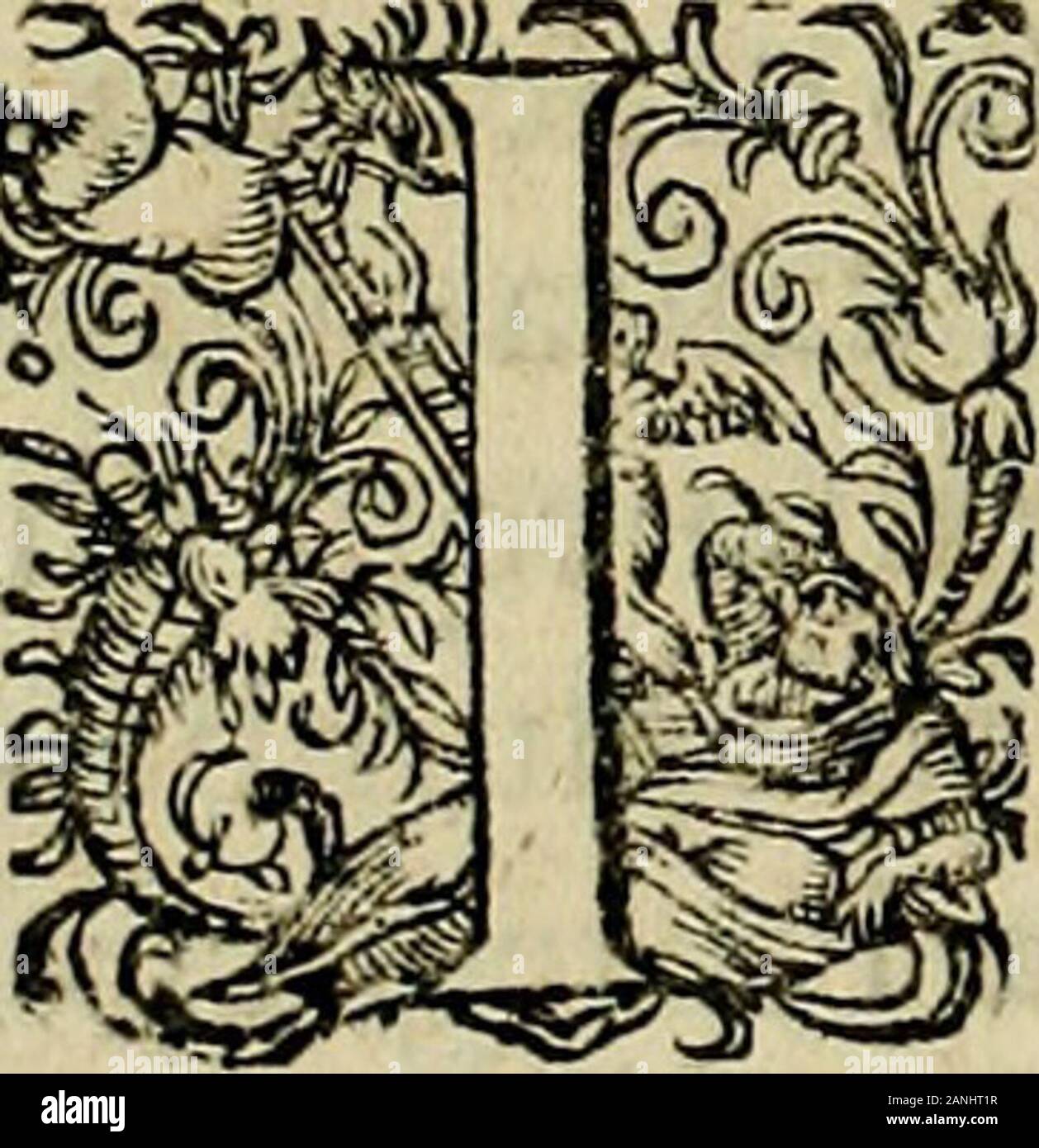 Nobiles hi-res stock photography and images - Alamy