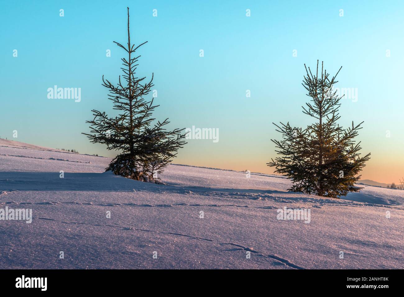 Views on Tatra Mountain in winter scenery from Lapszanka Pass Stock ...