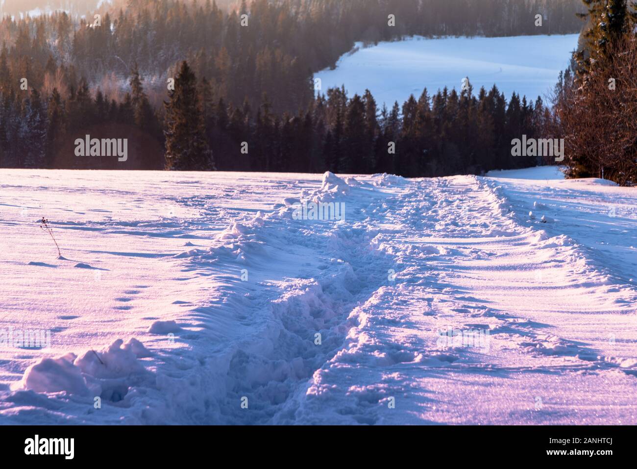 Views on Tatra Mountain in winter scenery from Lapszanka Pass Stock ...