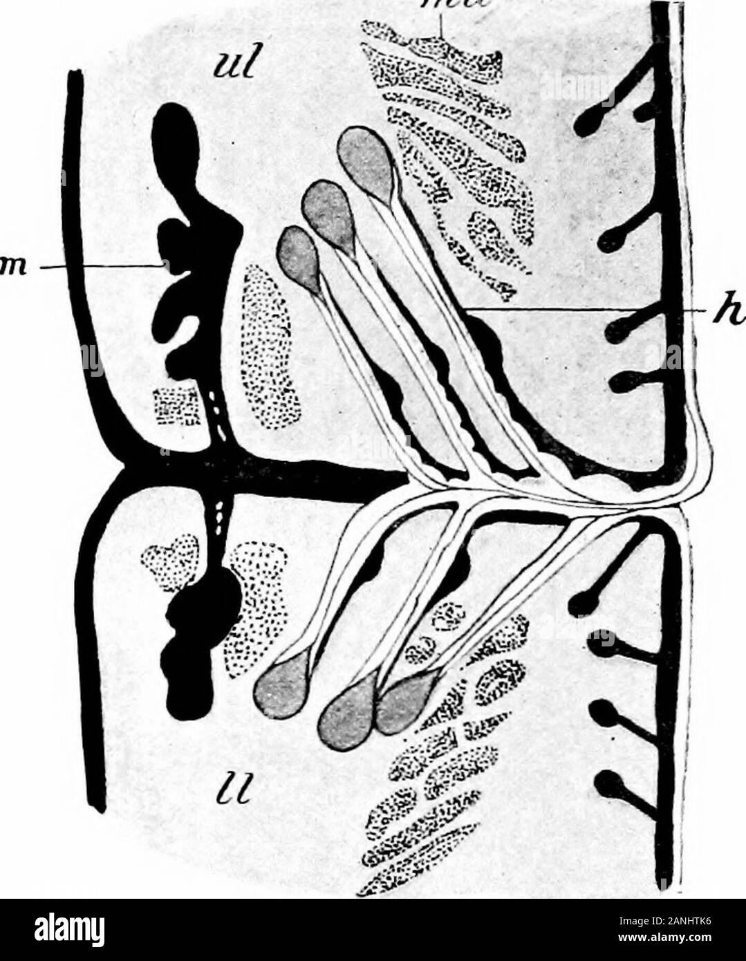 Simple cylindrical body hi-res stock photography and images - Alamy
