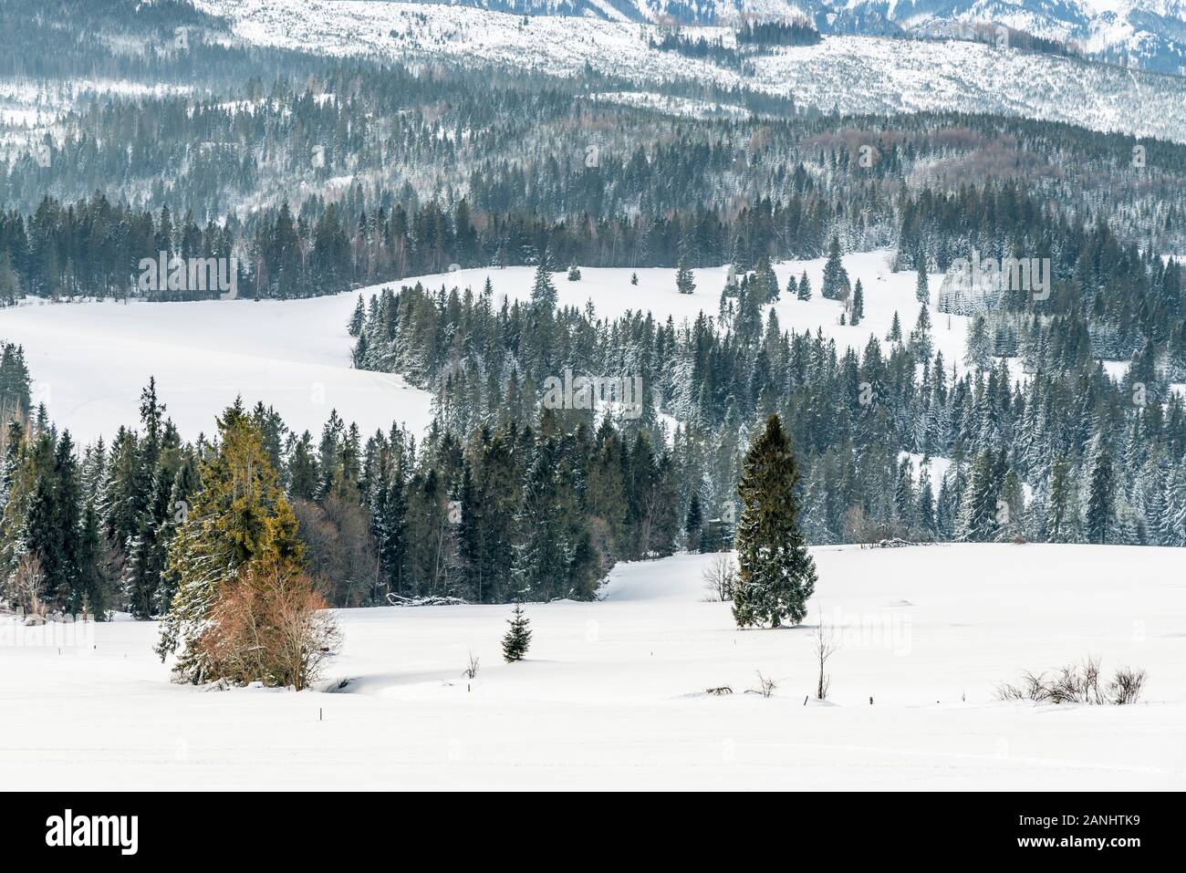 Views on Tatra Mountain in winter scenery from Lapszanka Pass Stock ...