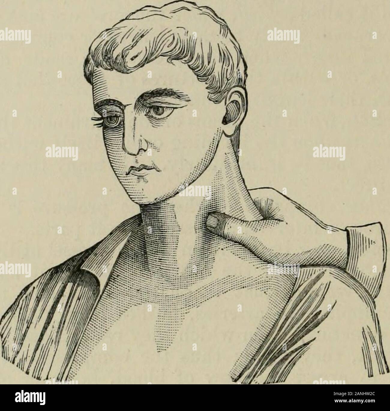 Sterno cleido mastoid muscle hi-res stock photography and images - Alamy