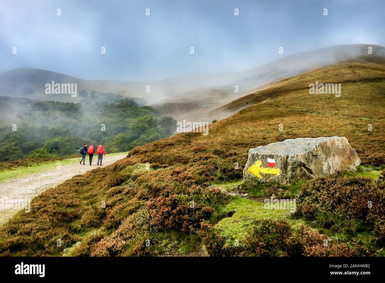 The Way Marking Post with Yellow Arrow Sign in the Pyrenean Mountains ...