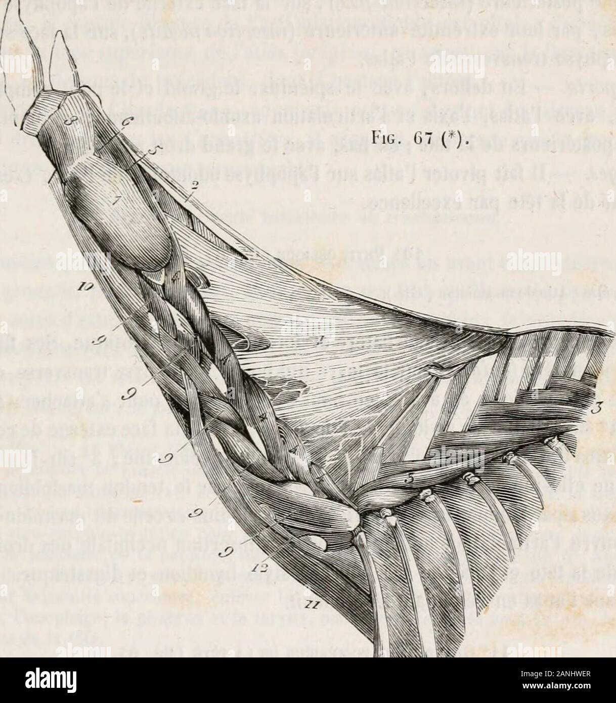 Ana de sa hi-res stock photography and images - Alamy