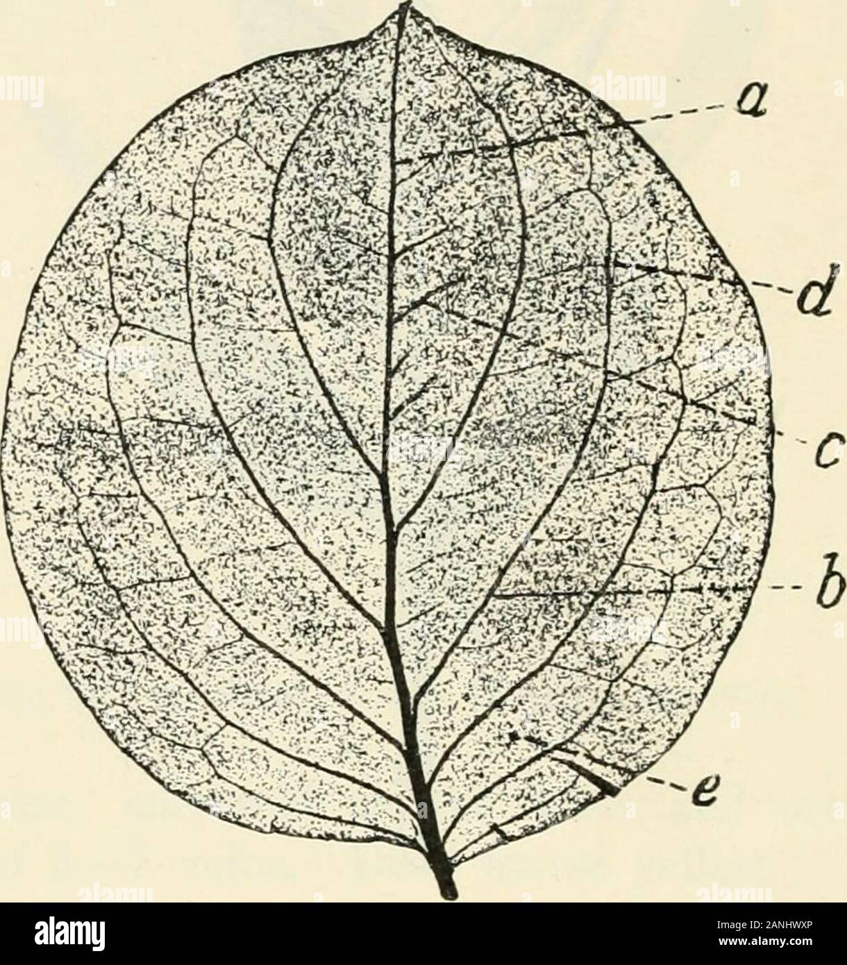 Bookidtreeshandboo hi-res stock photography and images - Alamy