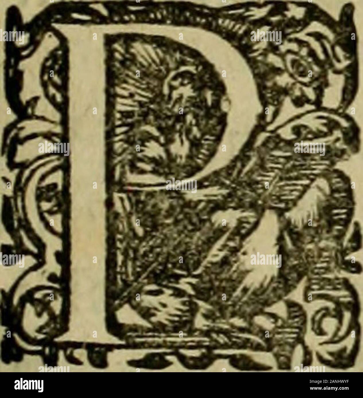 Breuis hi-res stock photography and images - Alamy