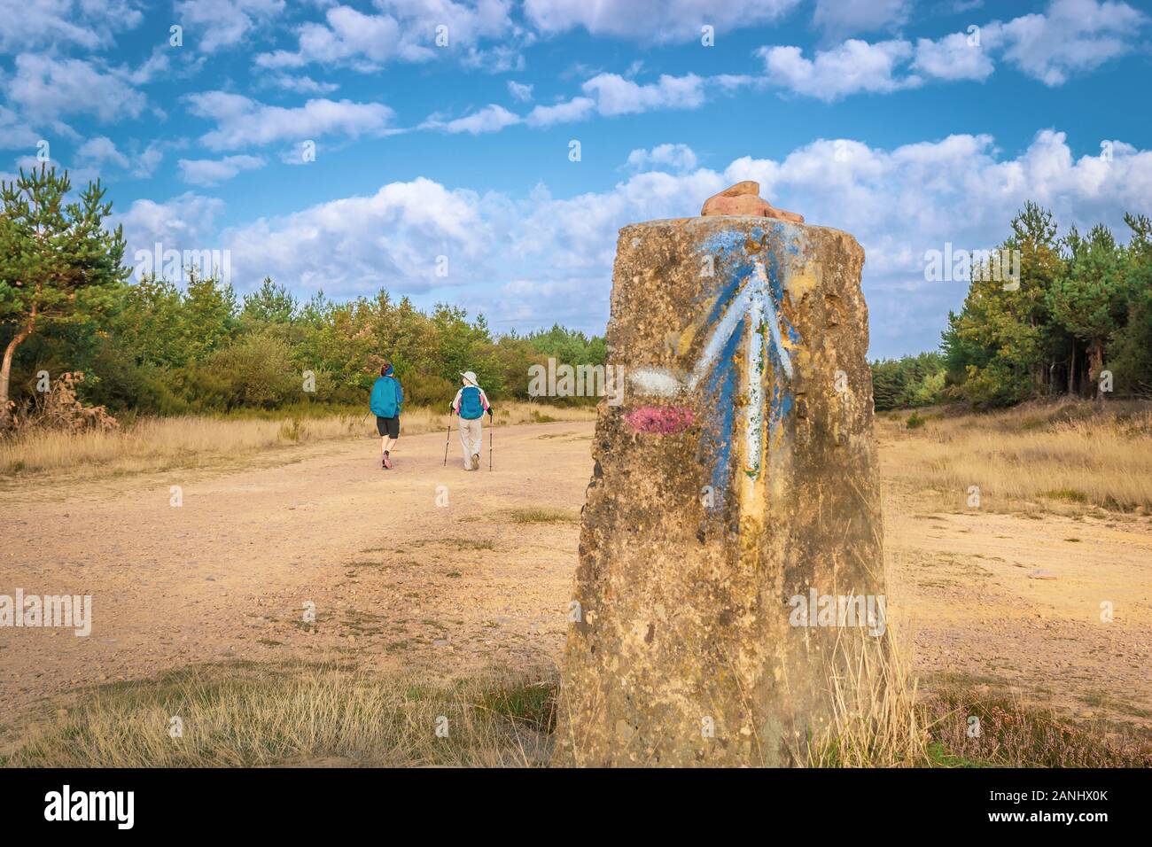 Pilgrims Hiking through Countryside Past a Waymark Post along the Way ...