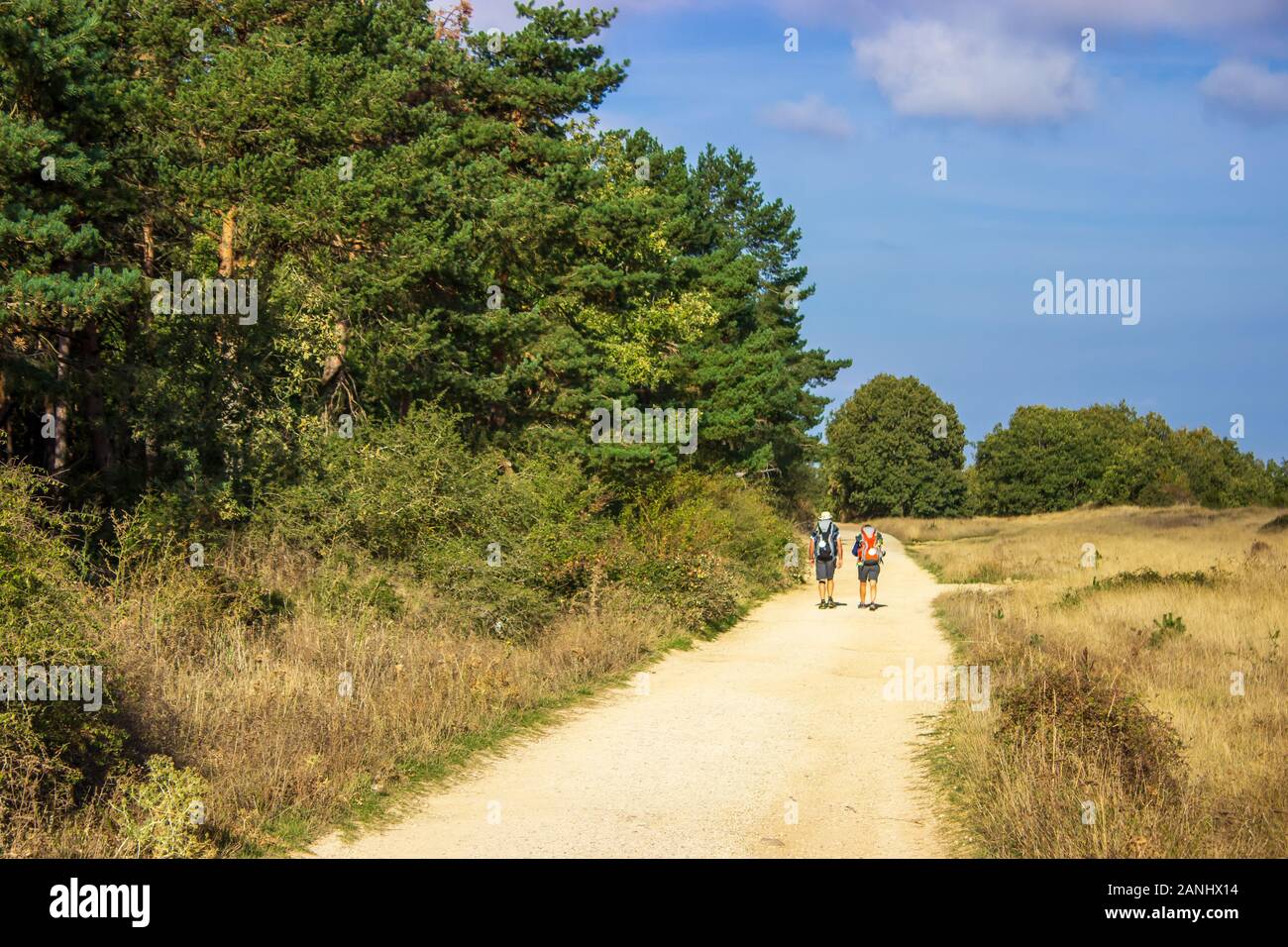 Two Pilgrims Hiking through Field and Forest along the Way of St James ...