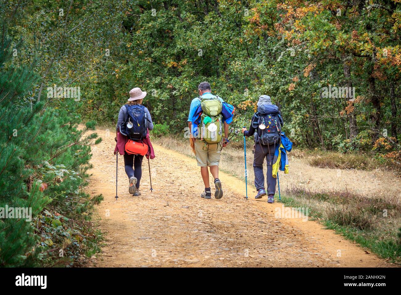 Three Pilgrims Hiking through a Forest along the Way of St James ...