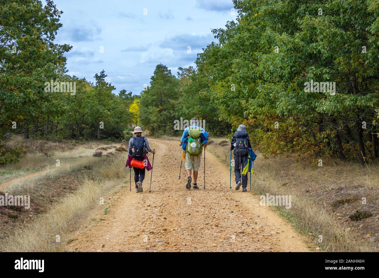 Three Pilgrims Hiking through a Forest along the Way of St James ...