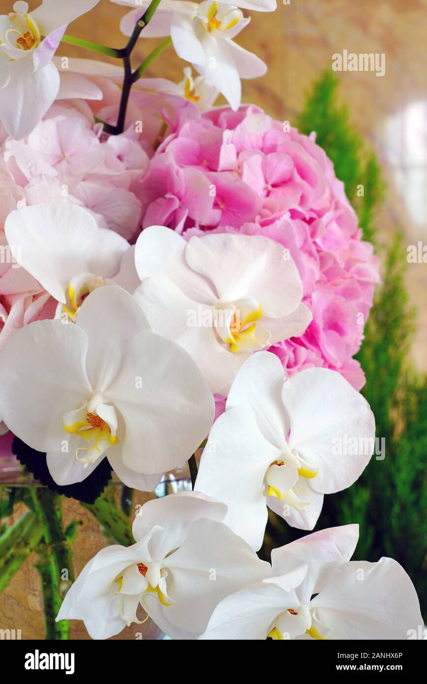 Orchid hydrangea bouquet hi-res stock photography and images - Alamy
