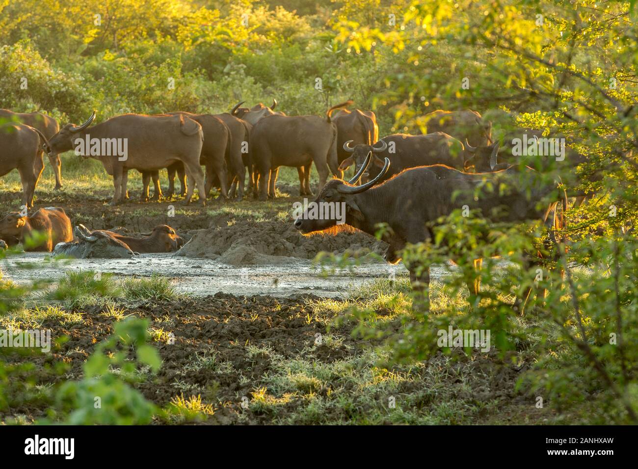 Uda river hi-res stock photography and images - Alamy