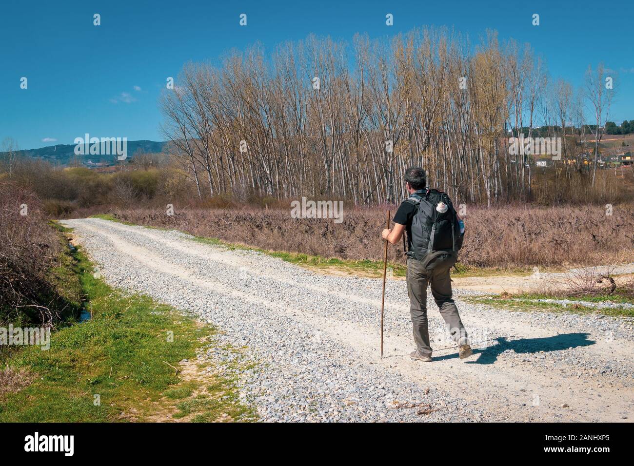 Man Hiking the Way of St James (Camino de Santiago Stock Photo - Alamy