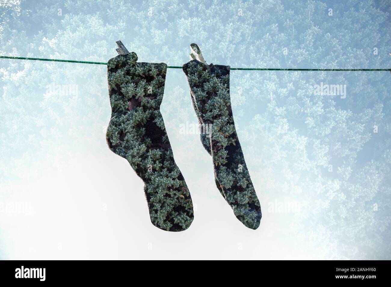 Socks on washing line hi-res stock photography and images - Alamy