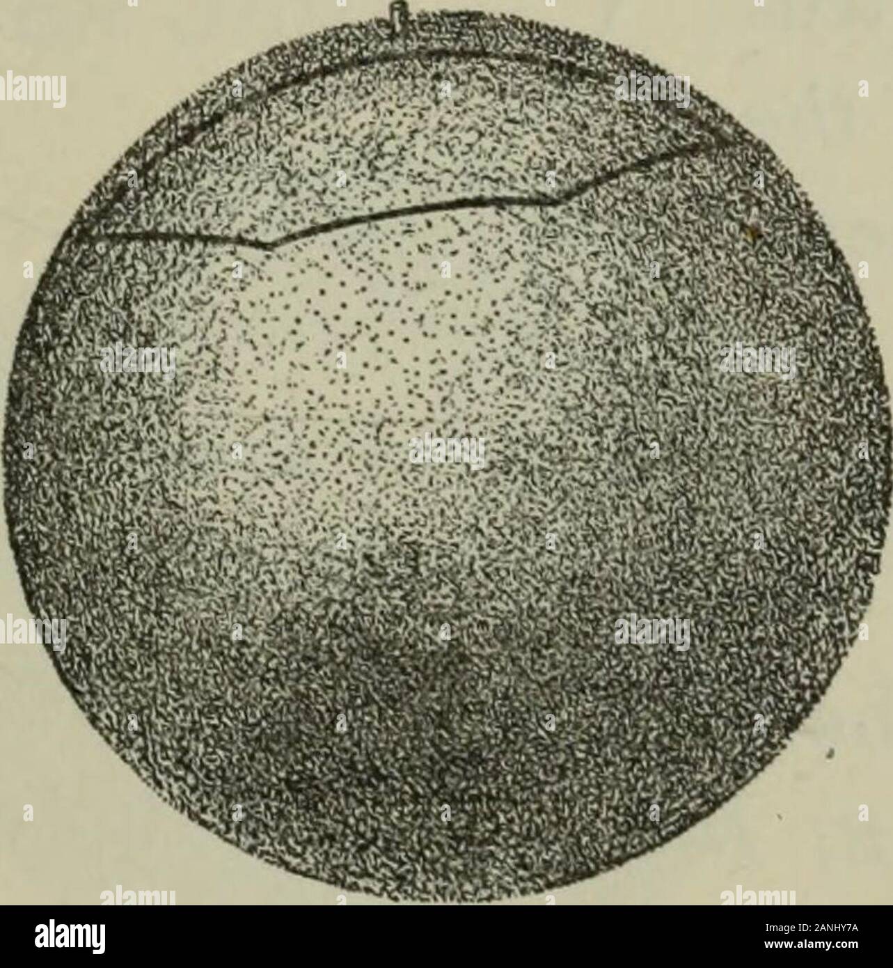 Plane and solid geometry . oints meet in a point which is equidistant ...