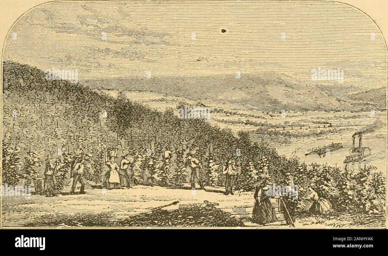 All the western states and territories . his absurd, cruel system is ...