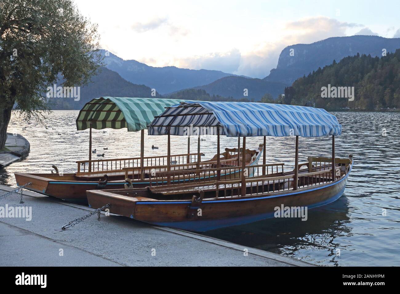 Two Tourist Boats at Lake Bled in Slovenia Stock Photo - Alamy