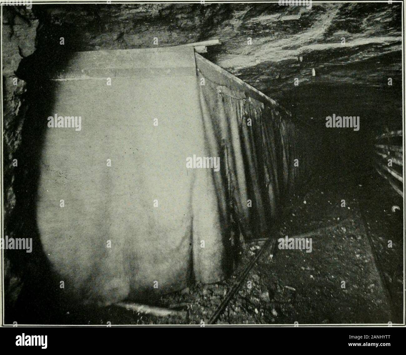 K crosscut hi-res stock photography and images - Alamy