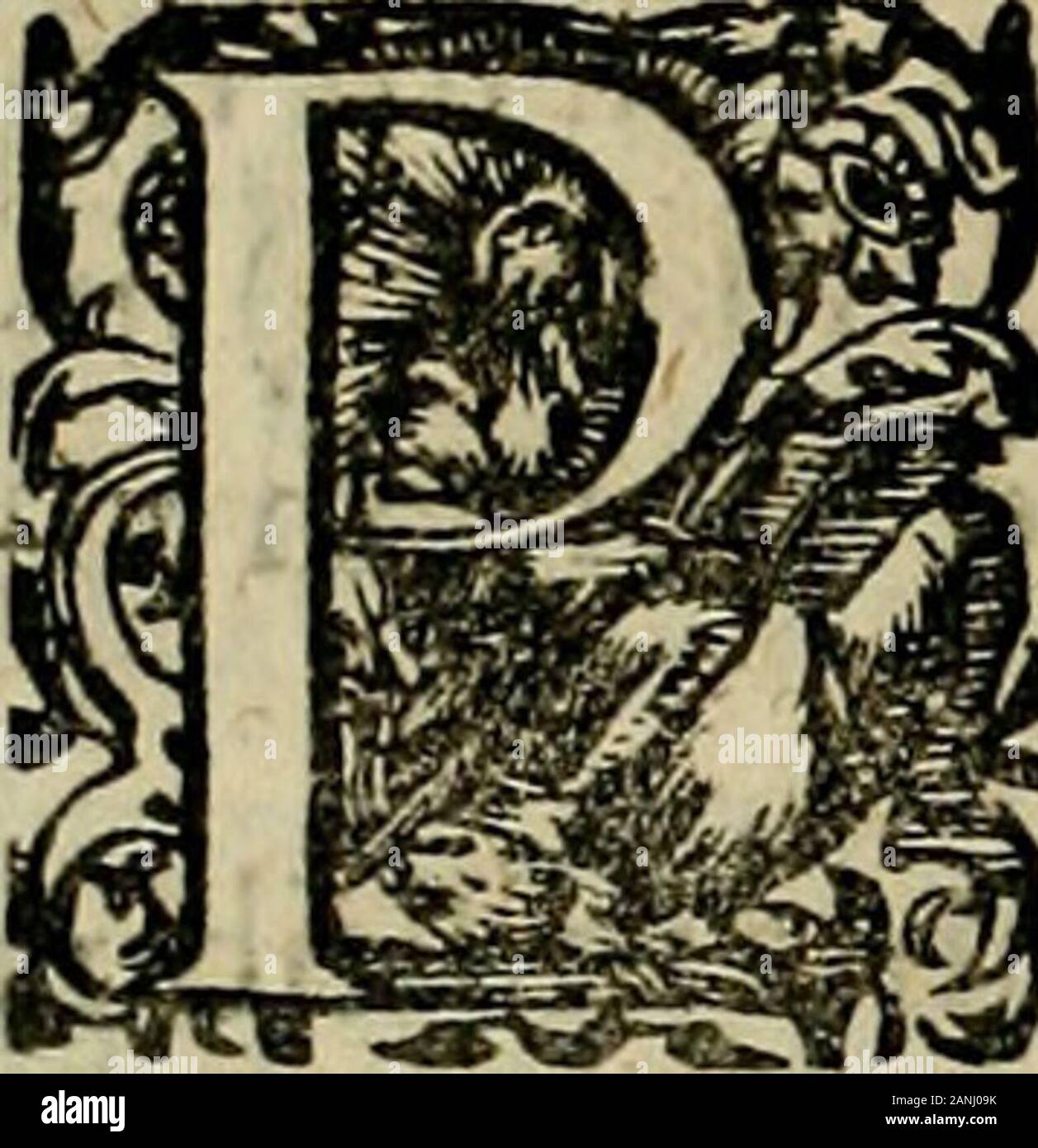 Nobiles hi-res stock photography and images - Alamy