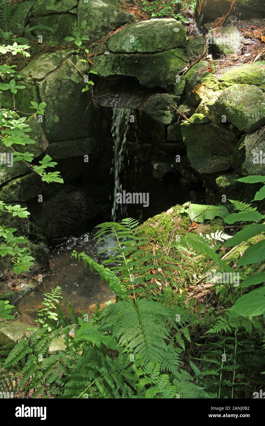 Stream fresh water fall hi-res stock photography and images - Alamy