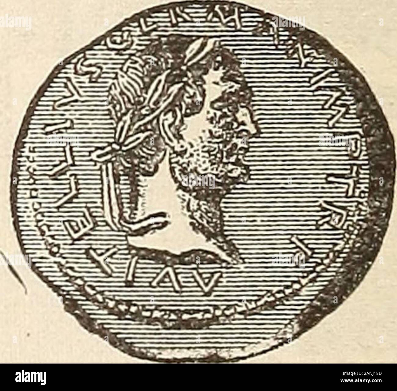 Vespasia hi-res stock photography and images - Alamy