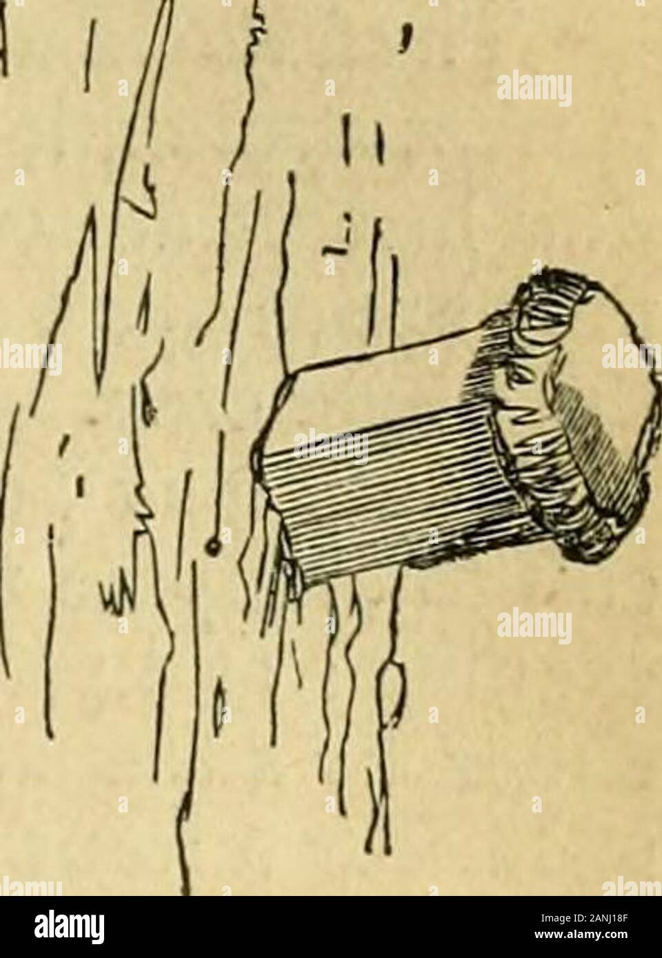 Double middle finger hi-res stock photography and images - Alamy