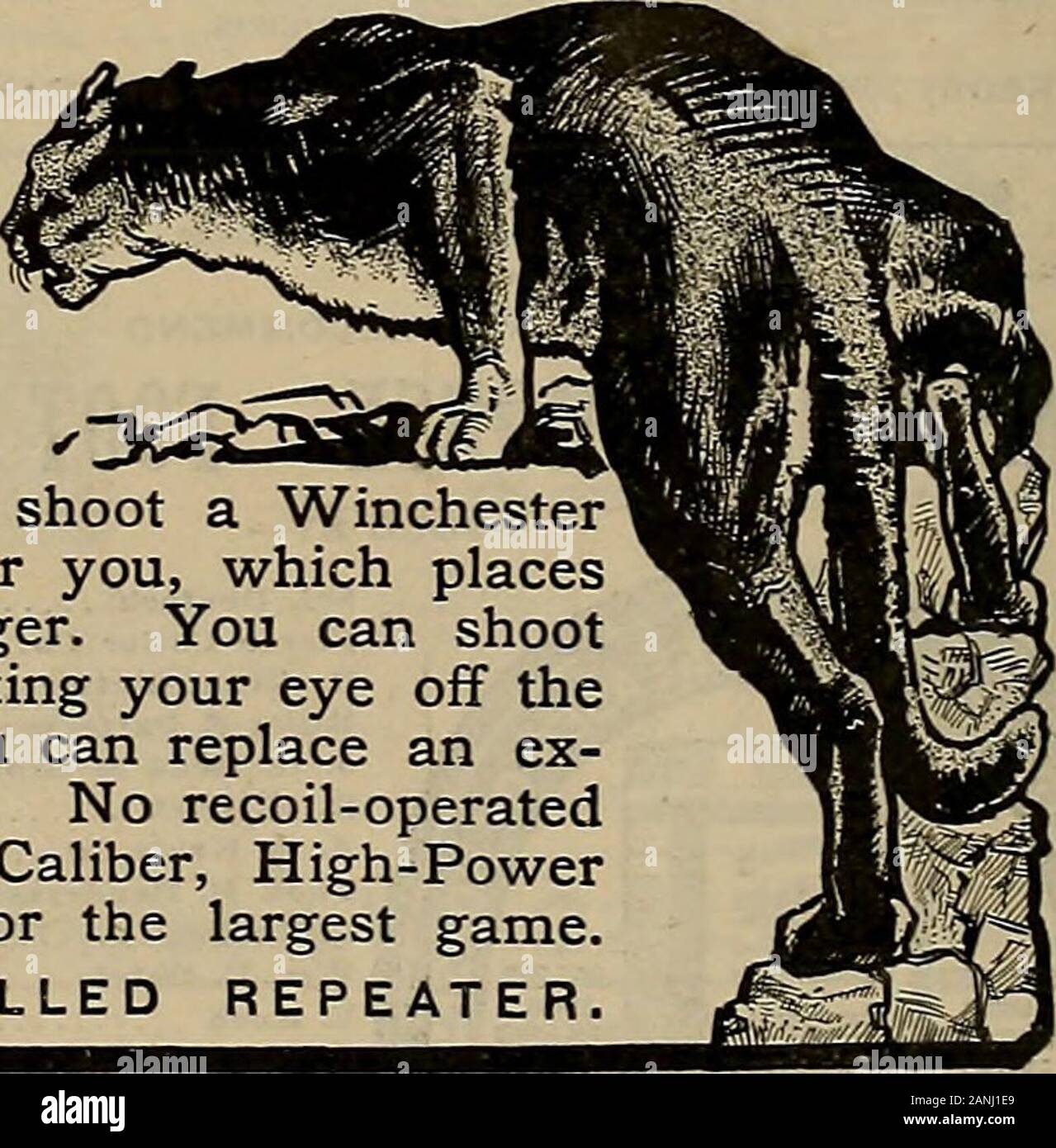 Self loading rifle hi-res stock photography and images - Alamy