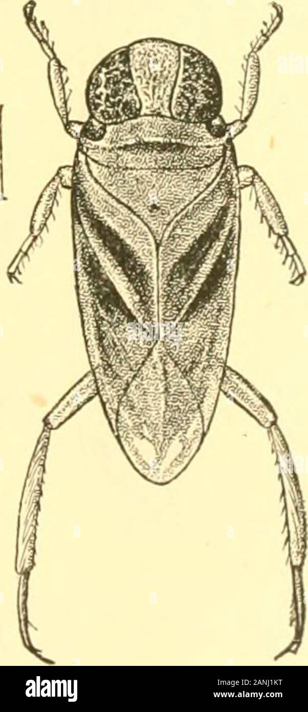 Vertex angles hi-res stock photography and images - Alamy