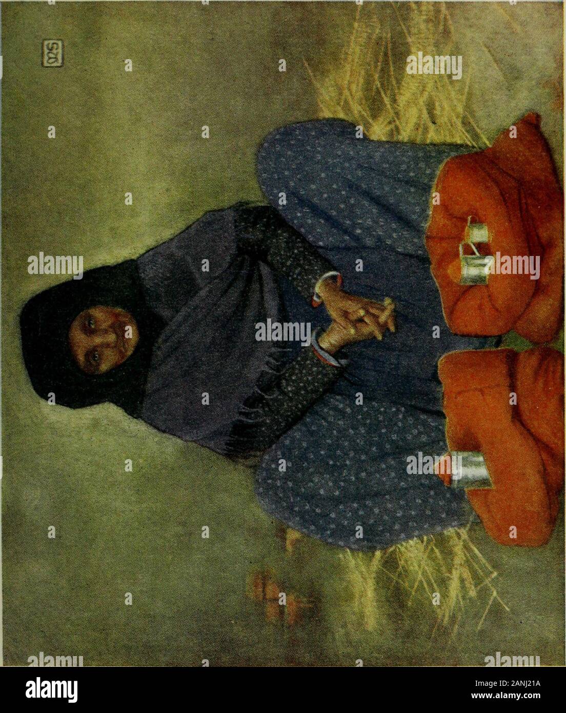 Alföld hungary hi-res stock photography and images - Alamy