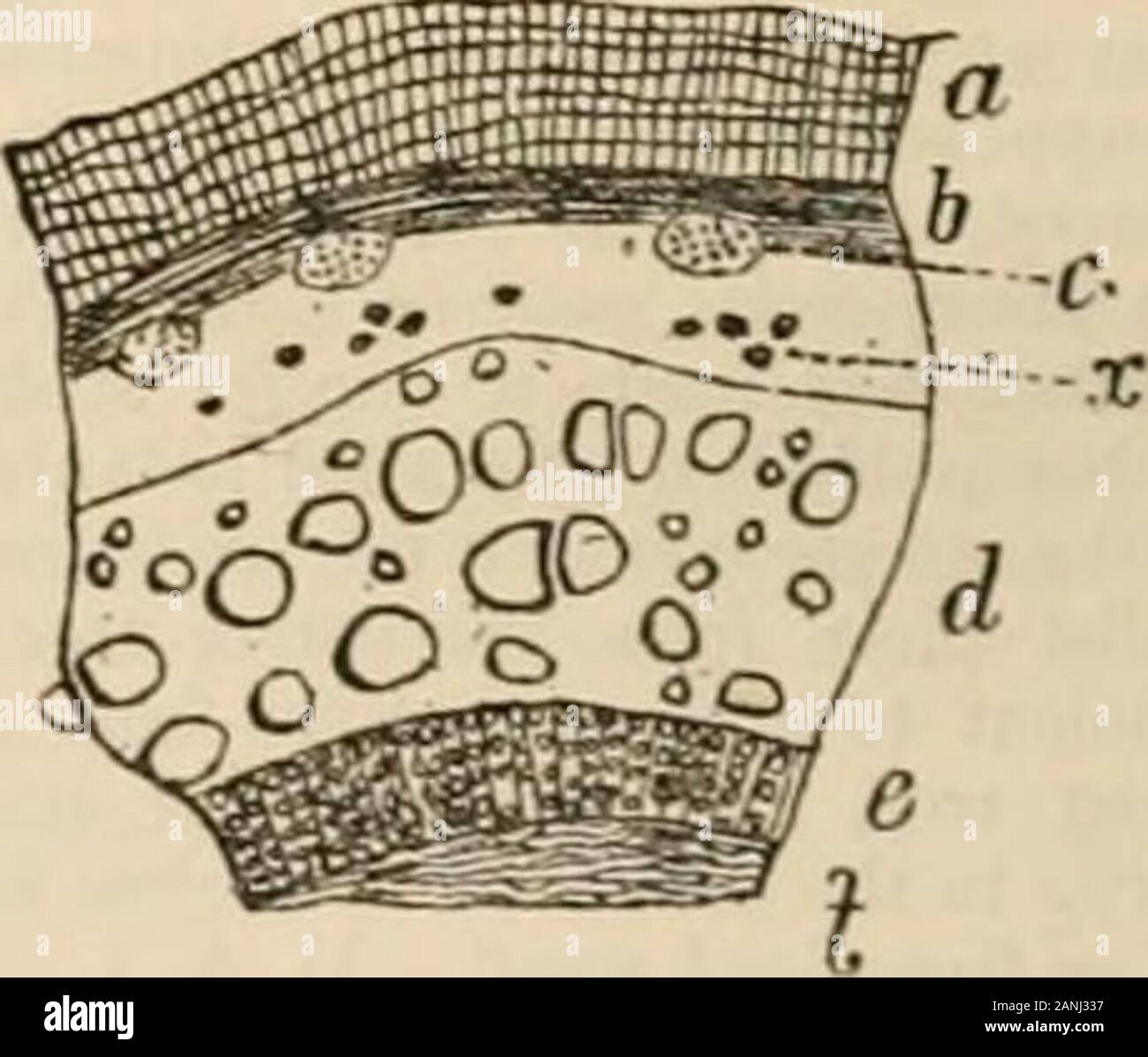 Potassium iodide solution hi-res stock photography and images - Alamy
