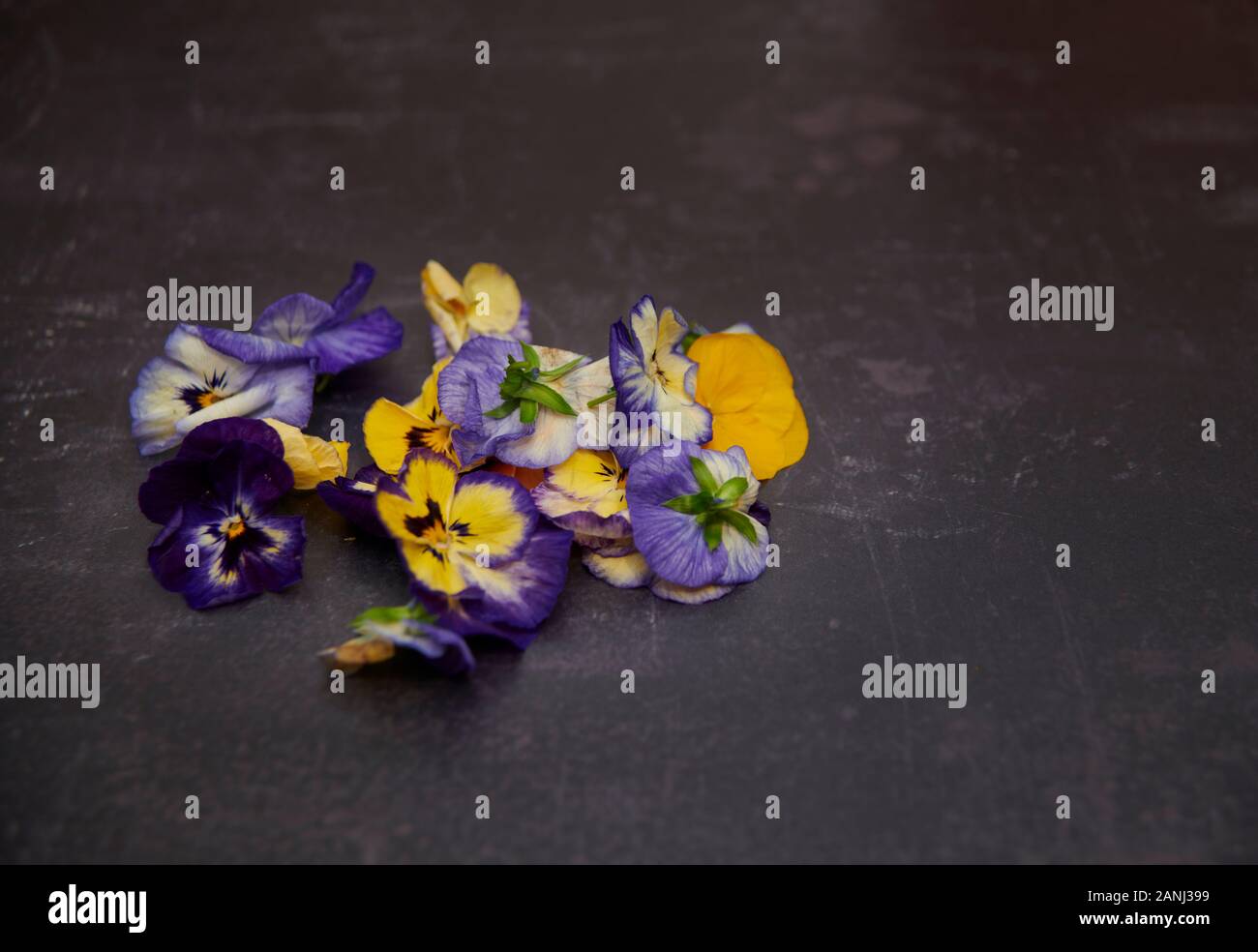 Edible Viola (Violate) flowers on an old dark wooden kitchen worktop ...