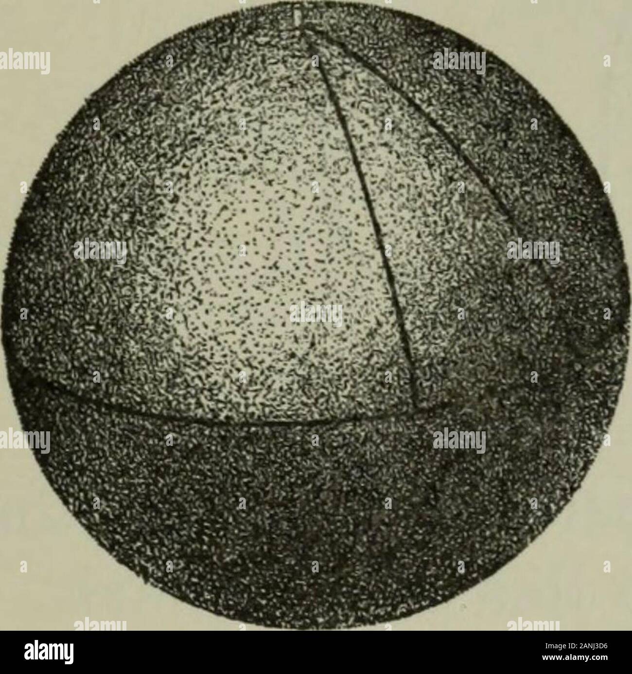 Solid Geometry Sphere