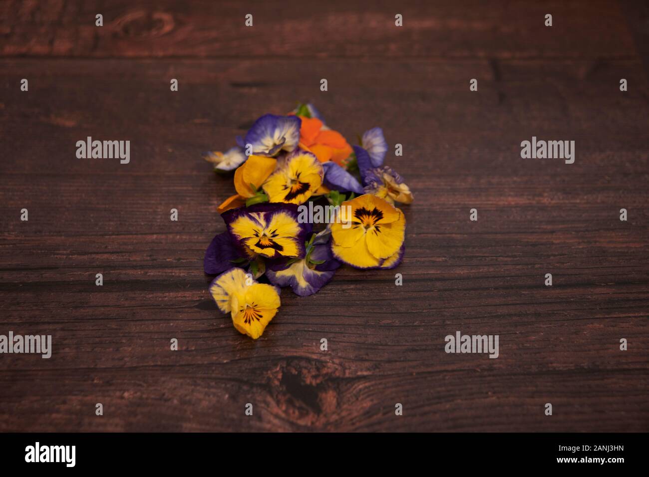 Edible Viola (Violate) flowers on an old dark wooden kitchen worktop ...