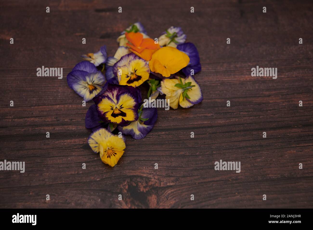 Edible Viola (Violate) flowers on an old dark wooden kitchen worktop ...
