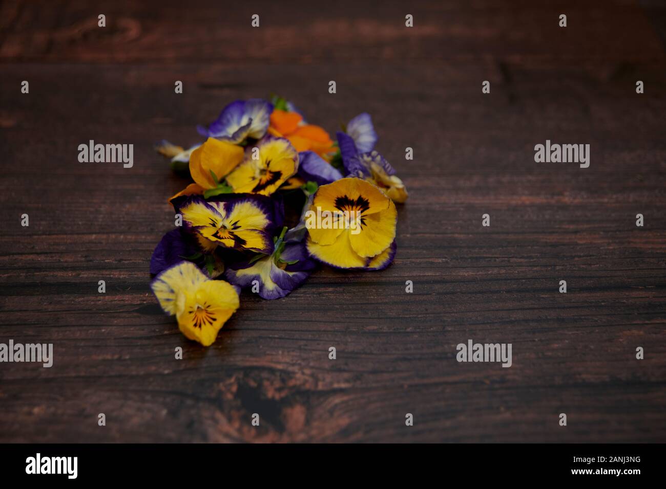 Edible Viola (Violate) flowers on an old dark wooden kitchen worktop ...