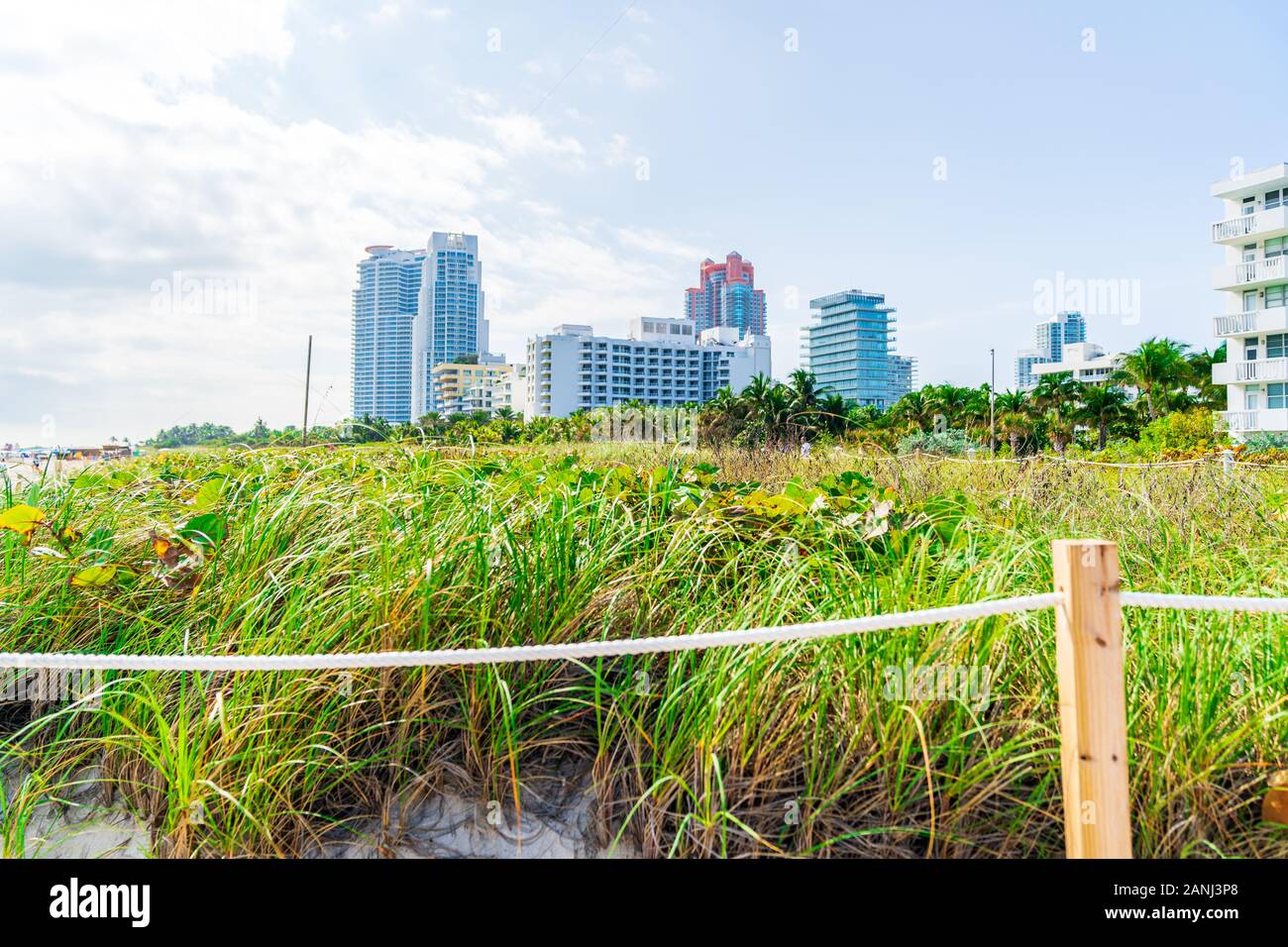 High-rise Buildings in Miami Beach, Florida Stock Photo - Alamy